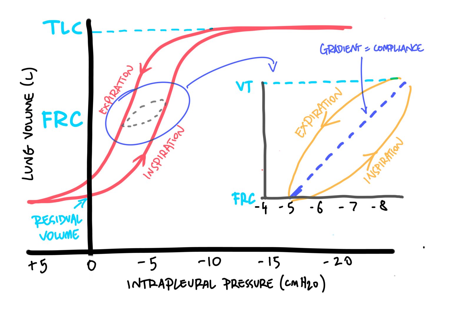 Mechanics of Breathing - Stronger Medicine