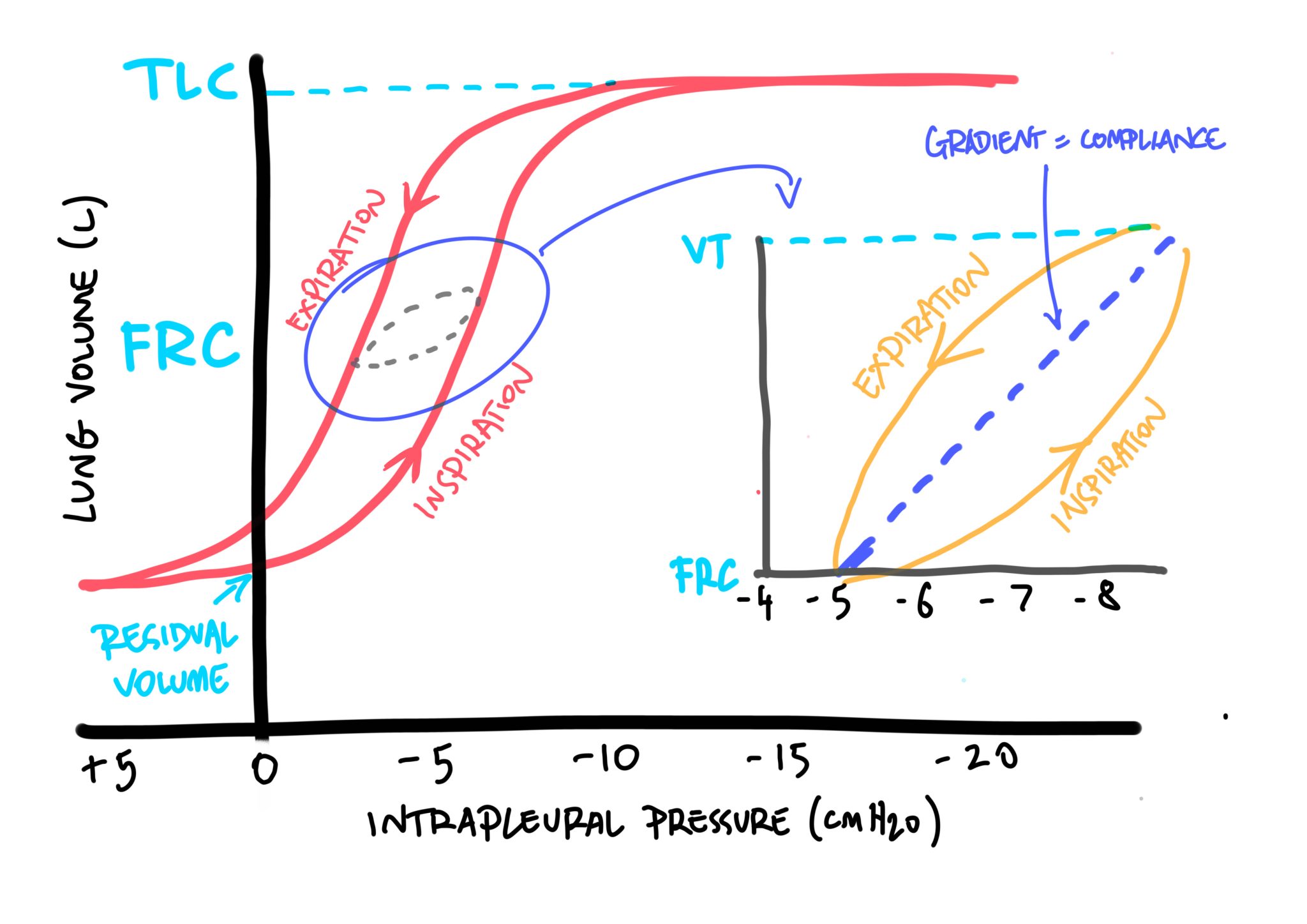 Mechanics of Breathing - Stronger Medicine