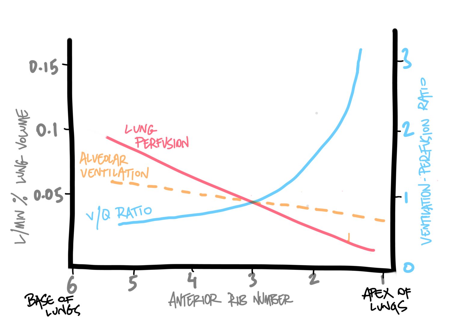 4. Ventilation and Perfusion - Stronger Medicine