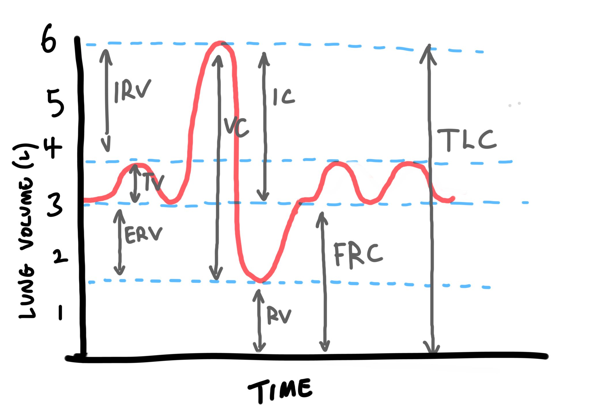 Lung Volumes and FRC - Stronger Medicine