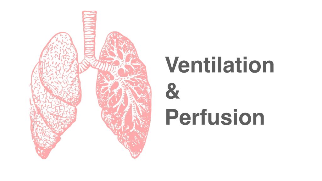 4. Ventilation and Perfusion - Stronger Medicine